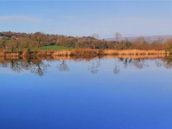 How to Transform Tap Water into Vibrant High Energy Water.